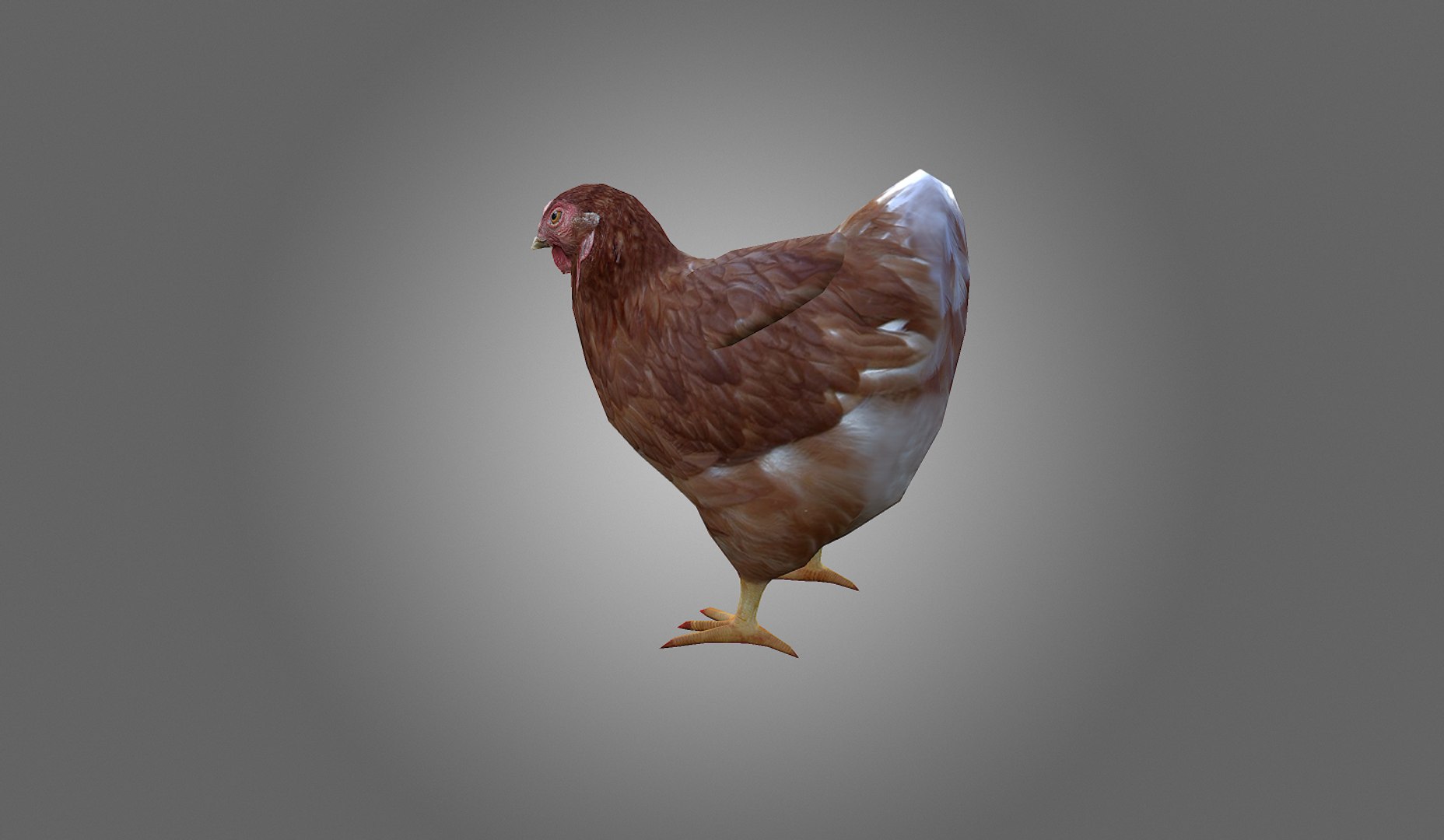 Chicken Low-poly Chick 3d Model