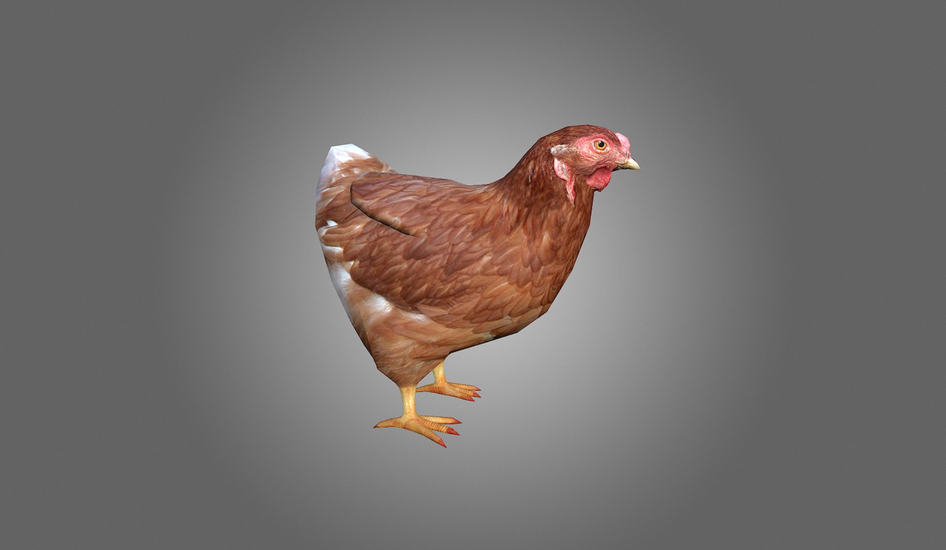 Chicken Low-poly Chick 3d Model