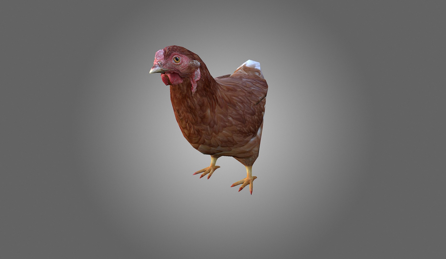 Chicken Low-poly Chick 3d Model