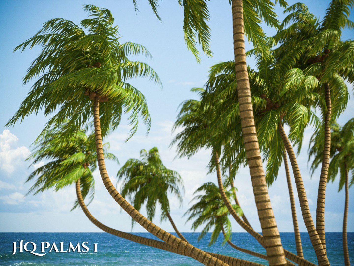 3D XfrogPlants HQPalms 1 - TurboSquid 1729626