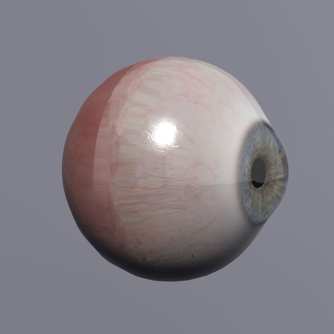 3d eyes pupil model