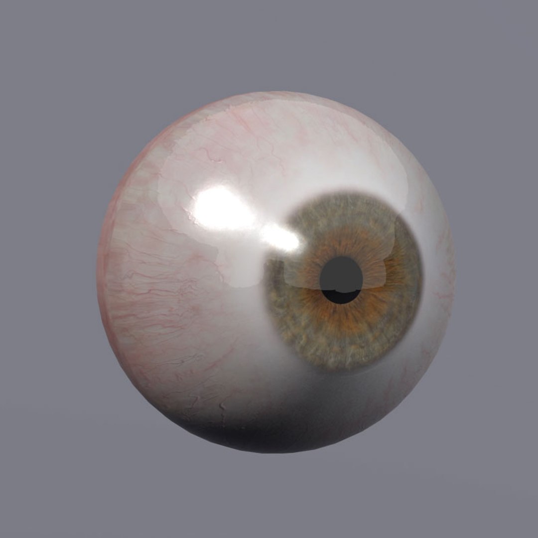 3d eyes pupil model