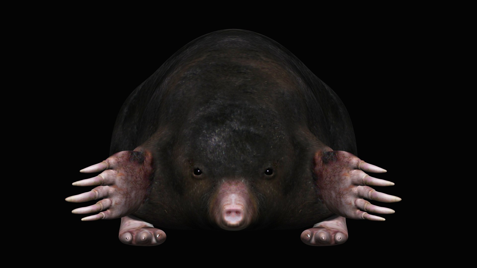 Mole 3D Model - TurboSquid 1724847