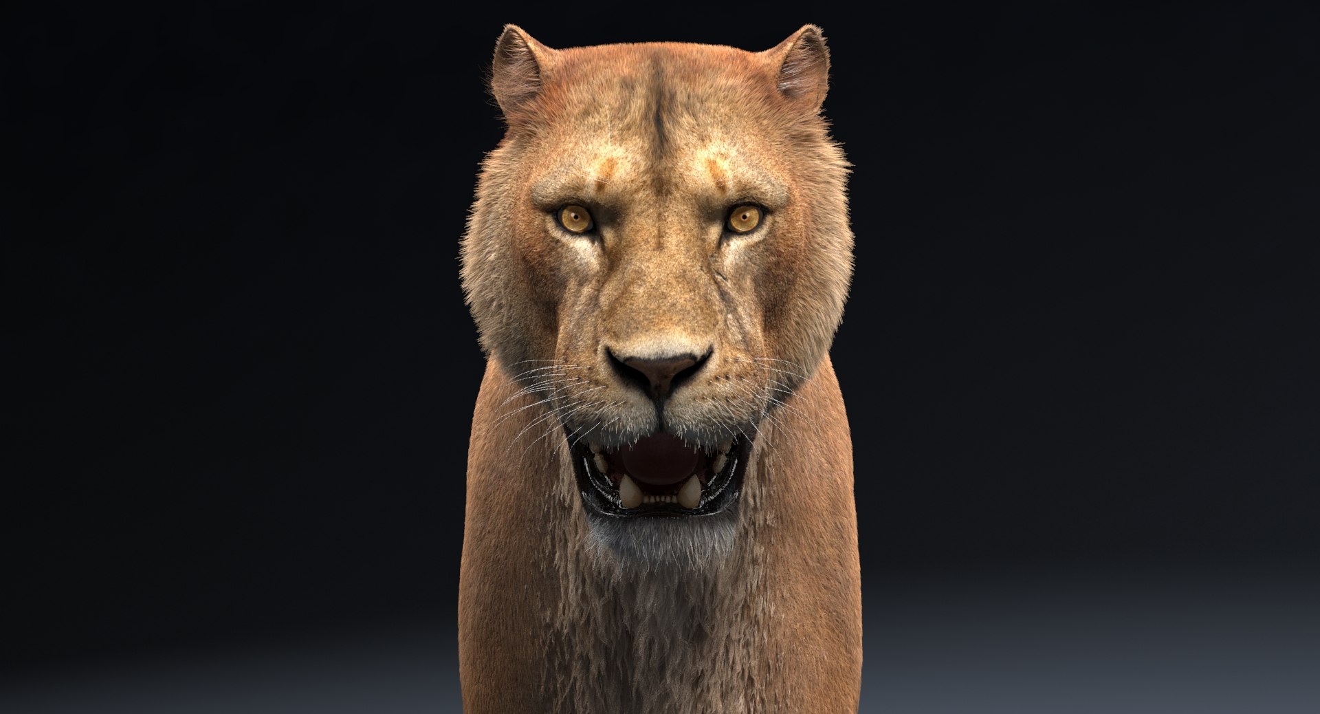 Fur Lioness 3d Max