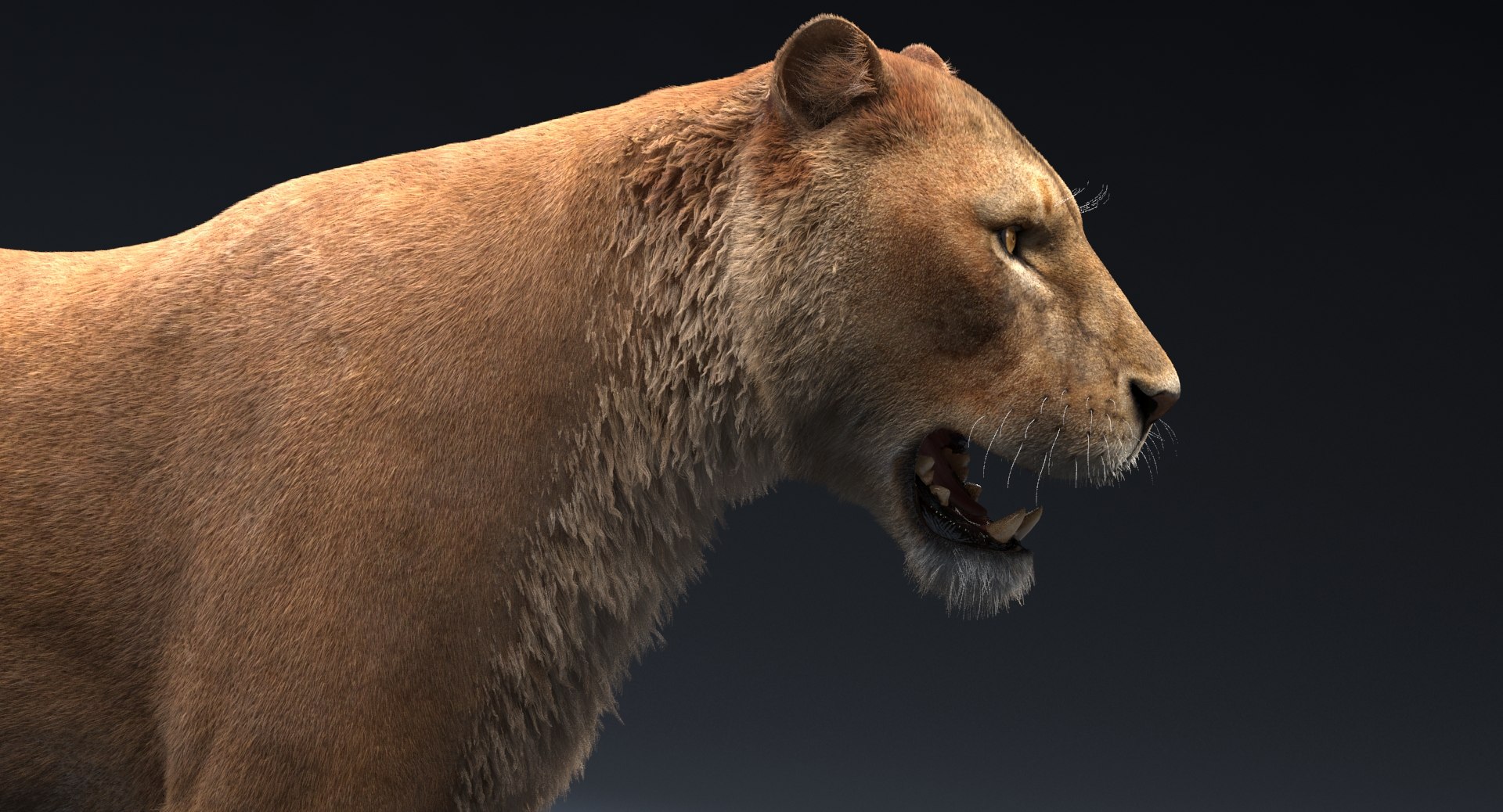 Fur Lioness 3d Max
