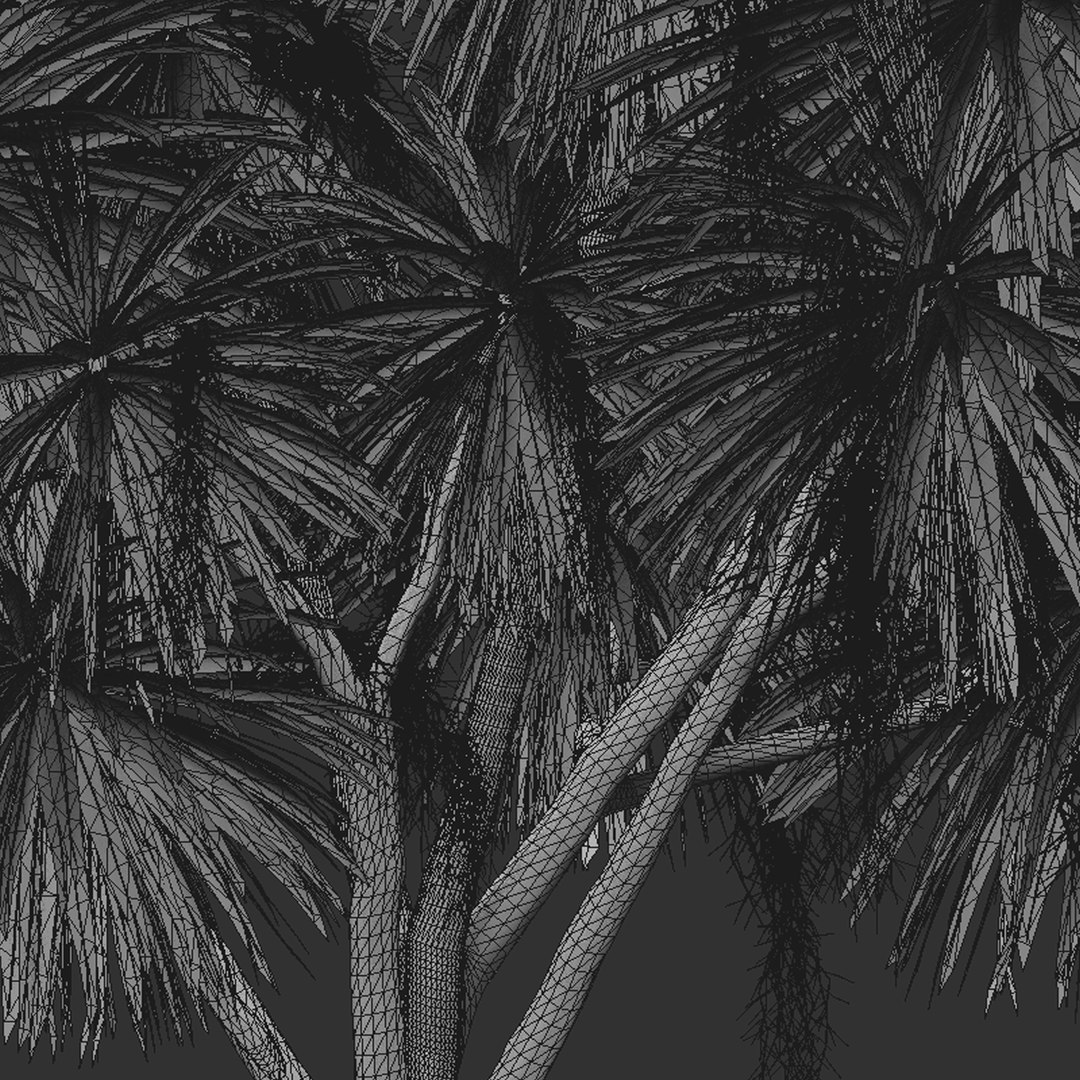 3D Set of New Zealand Cabbage or Cordyline Australis trees - 3 Trees ...