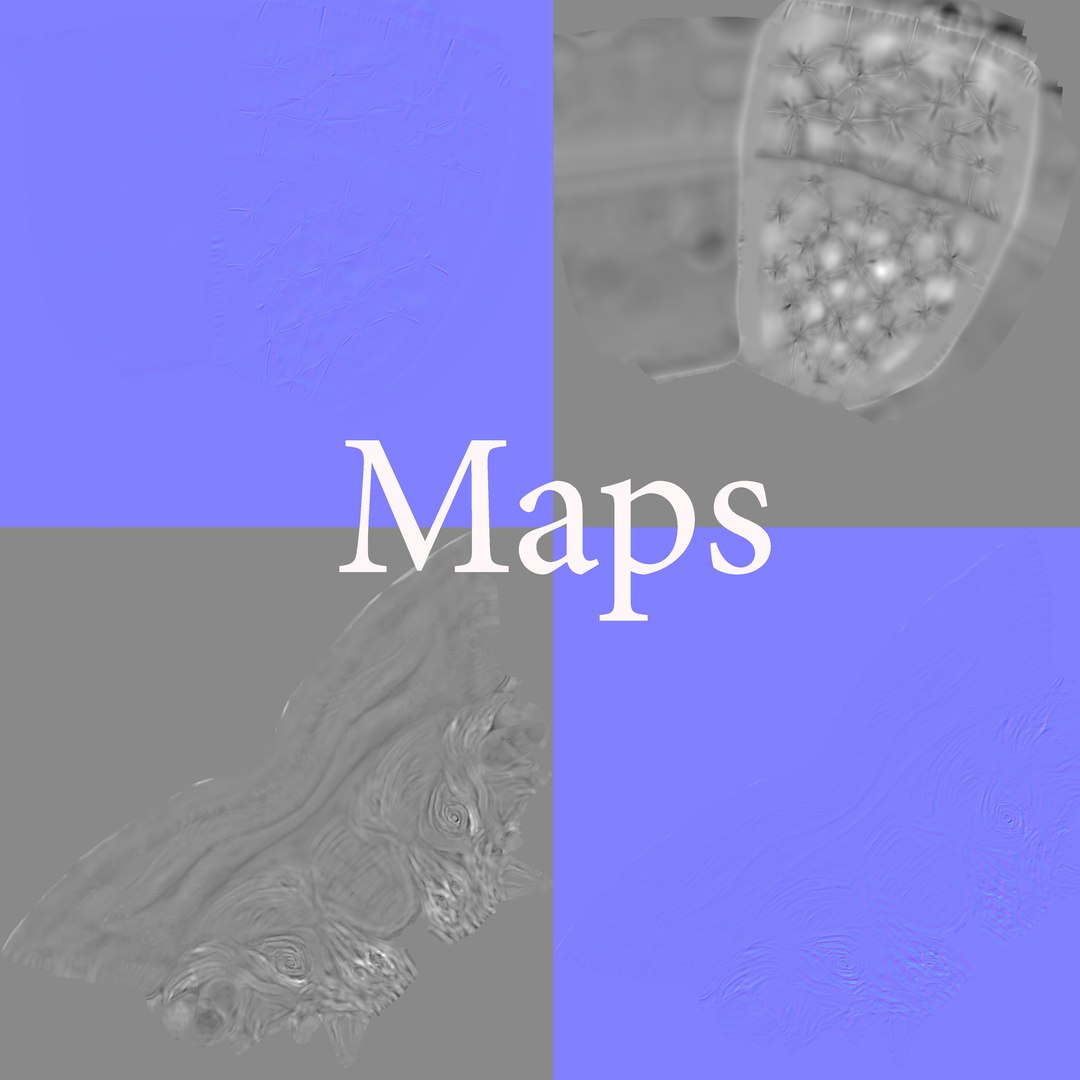 3d Model Design Maximo Riera