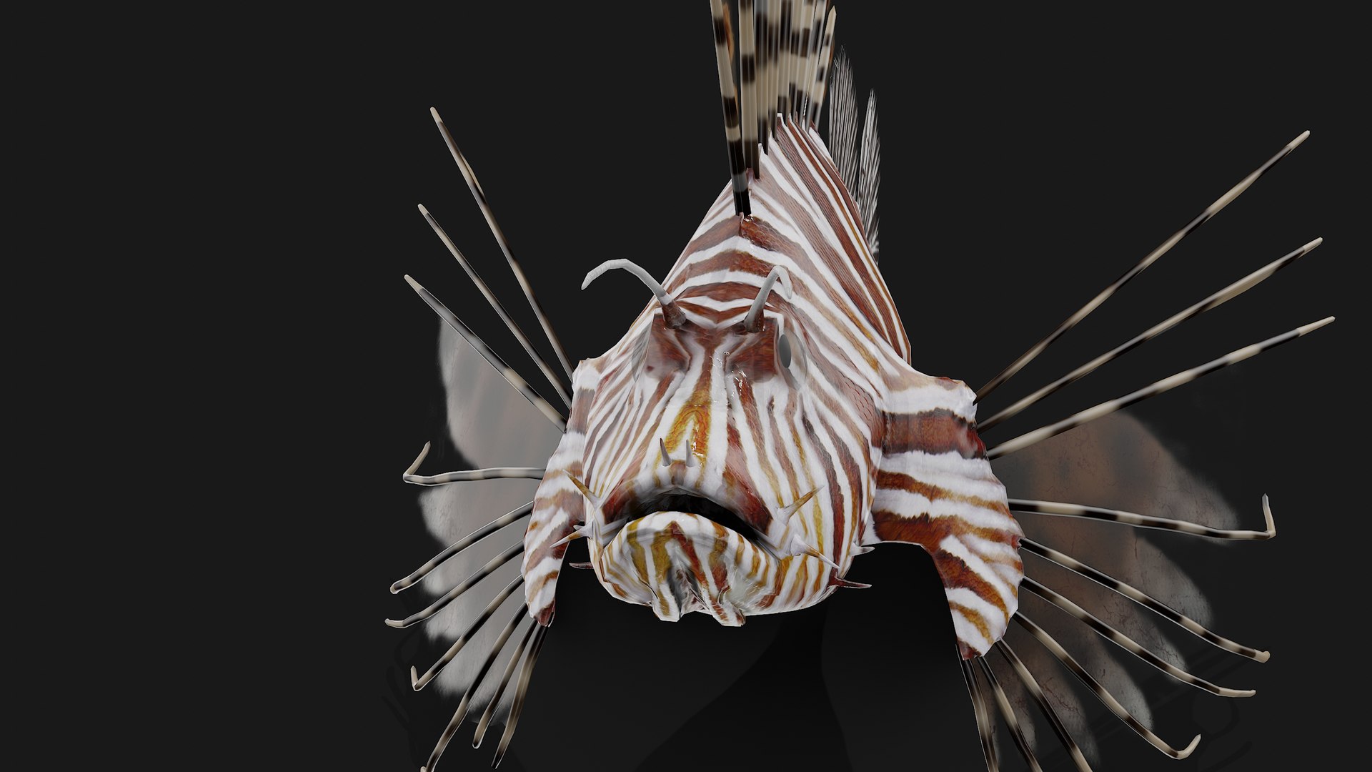 Lion Fish 3D Model - TurboSquid 2122675
