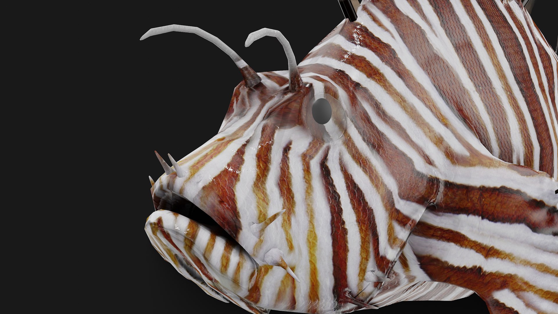 Lion Fish 3D Model - TurboSquid 2122675