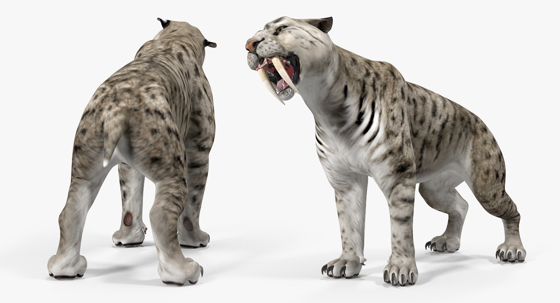 3D arctic saber tooth cat - TurboSquid 1329409