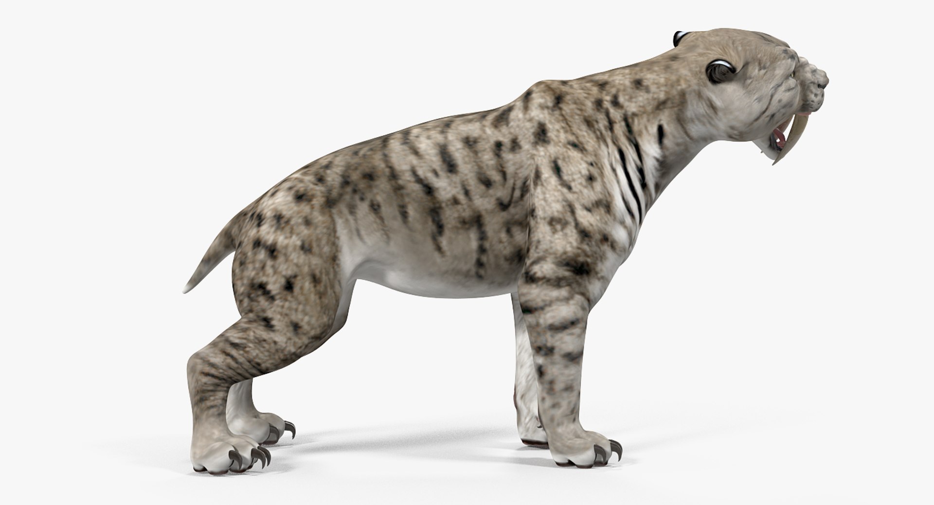 3D Arctic Saber Tooth Cat - TurboSquid 1329409