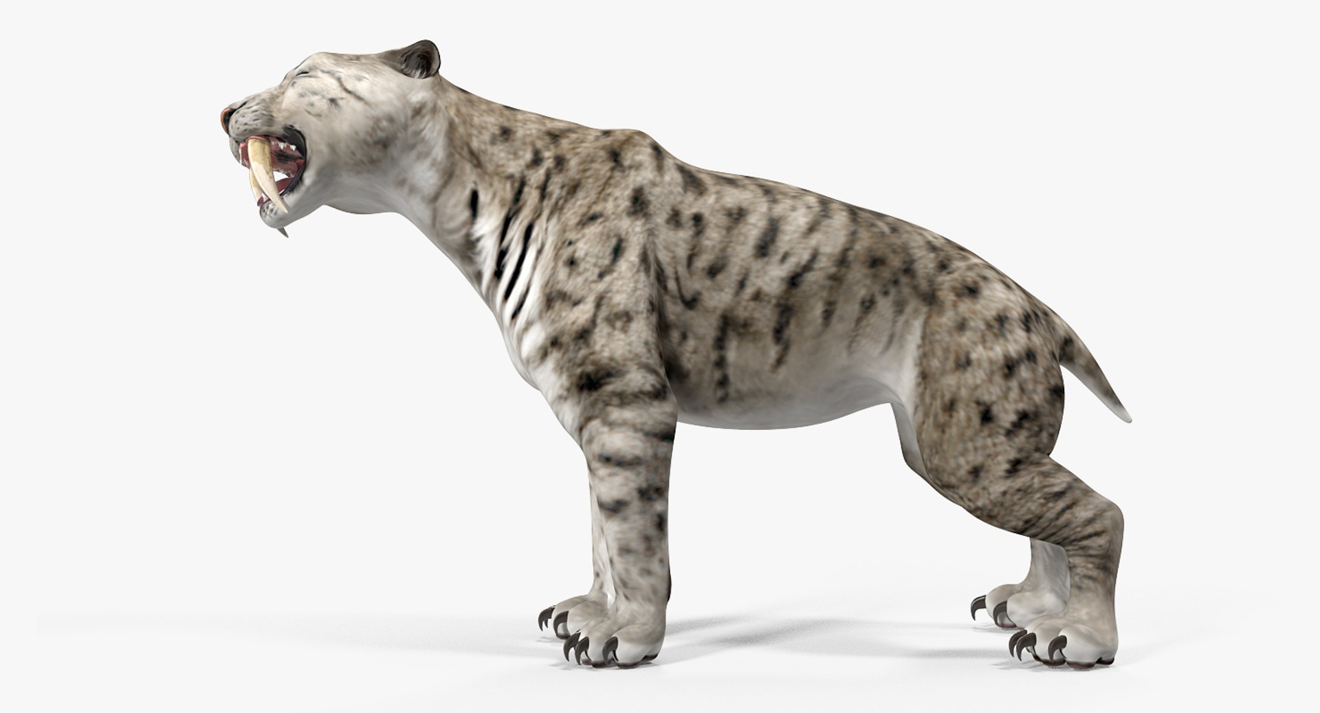 3D arctic saber tooth cat - TurboSquid 1329409