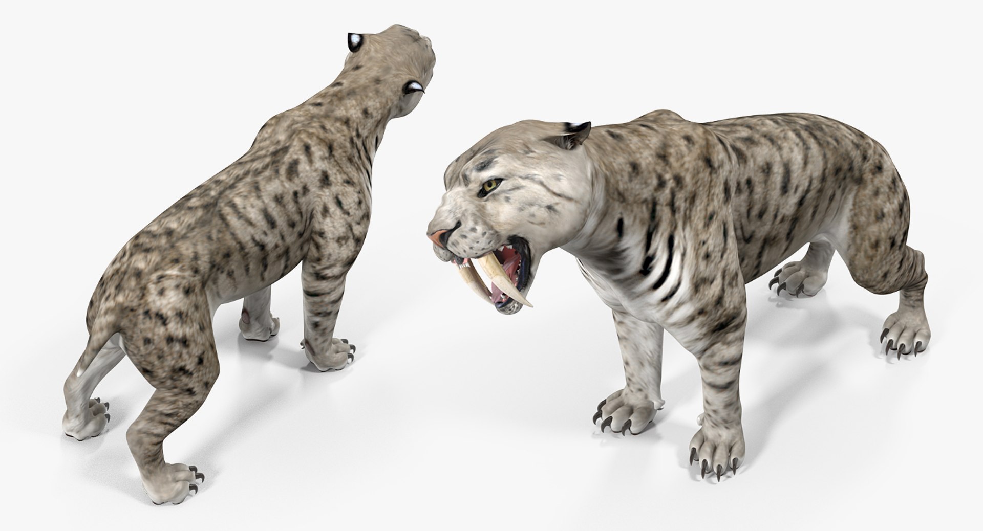 3D Arctic Saber Tooth Cat - TurboSquid 1329409