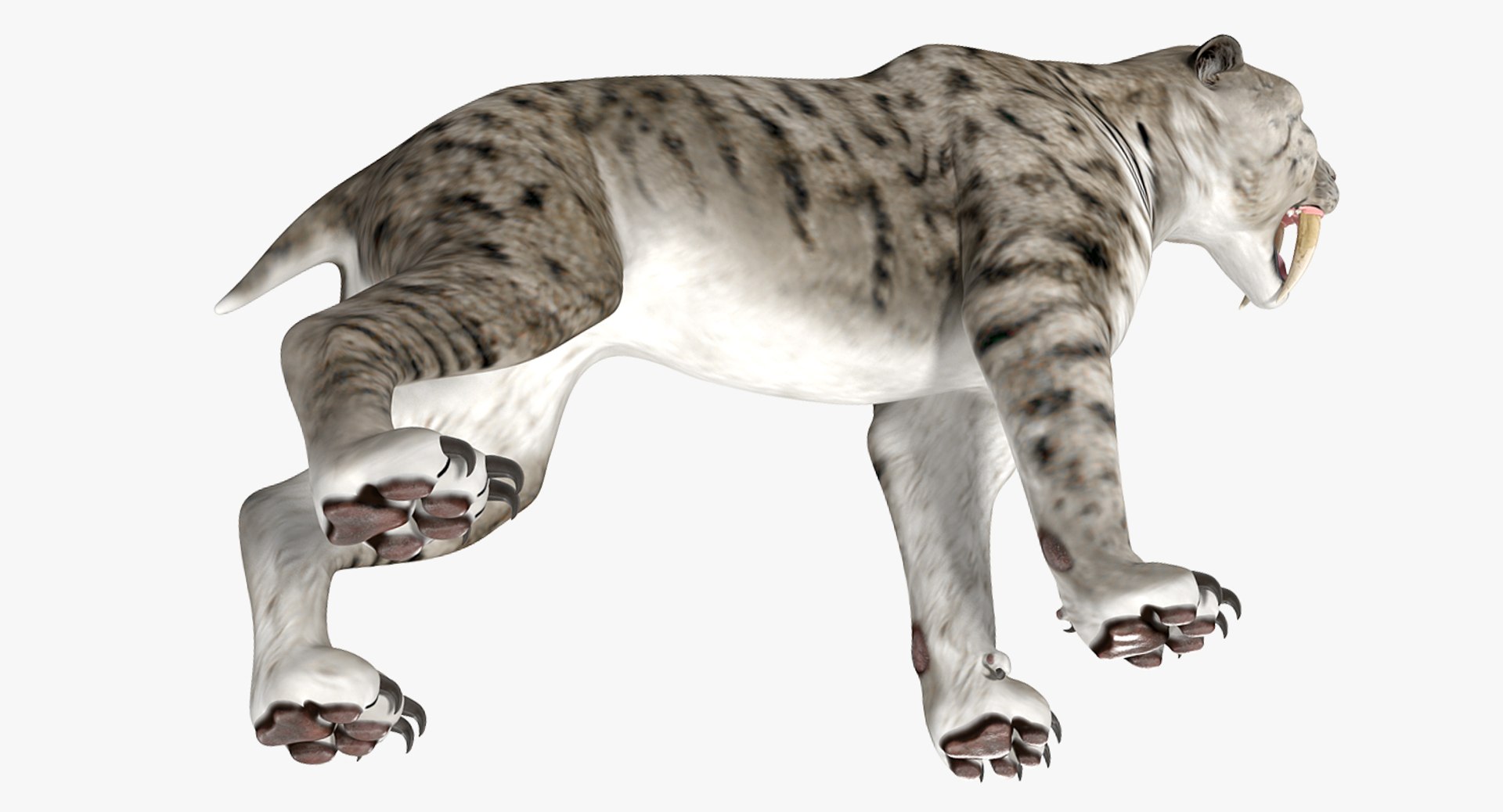 3D Arctic Saber Tooth Cat - TurboSquid 1329409