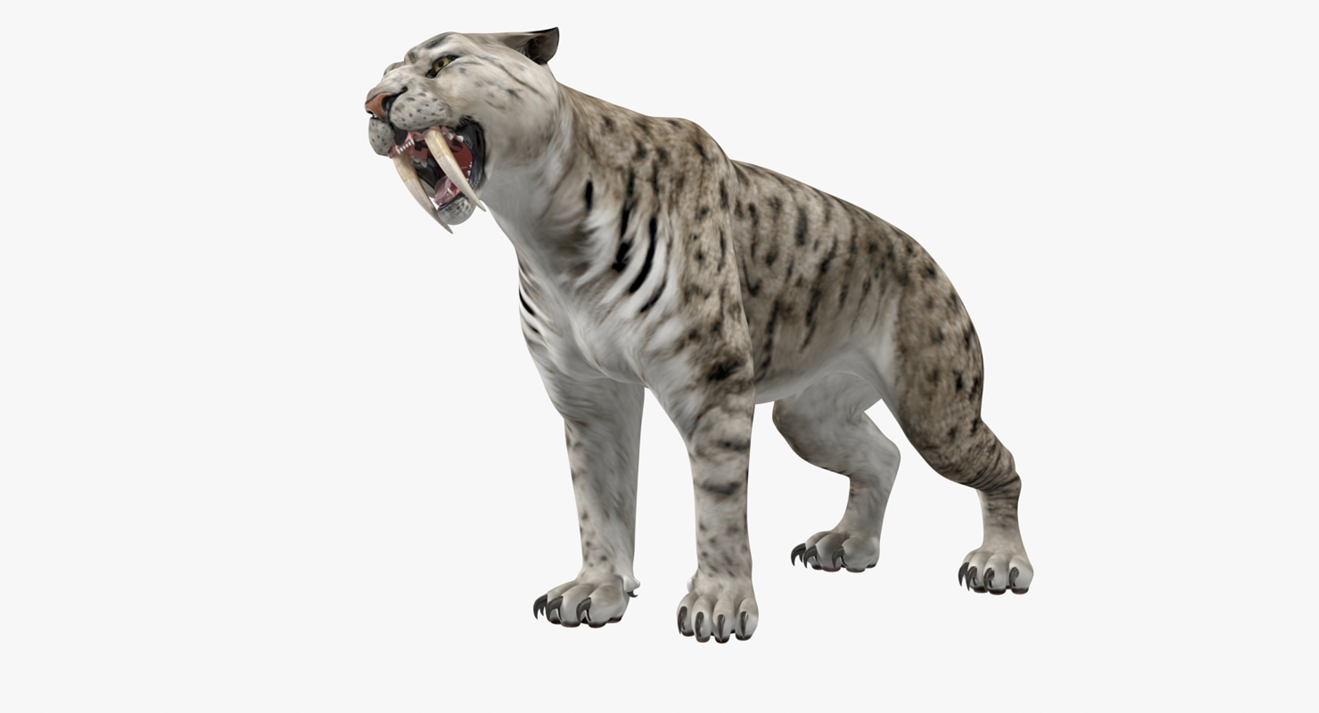 3D Arctic Saber Tooth Cat - TurboSquid 1329409