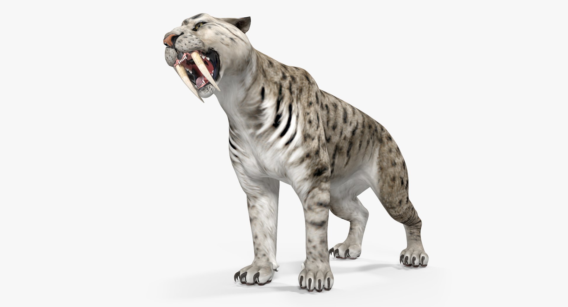 3D arctic saber tooth cat - TurboSquid 1329409