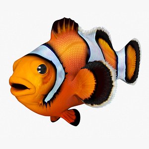 3D Fish Models - Browse & Download Formats - TurboSquid