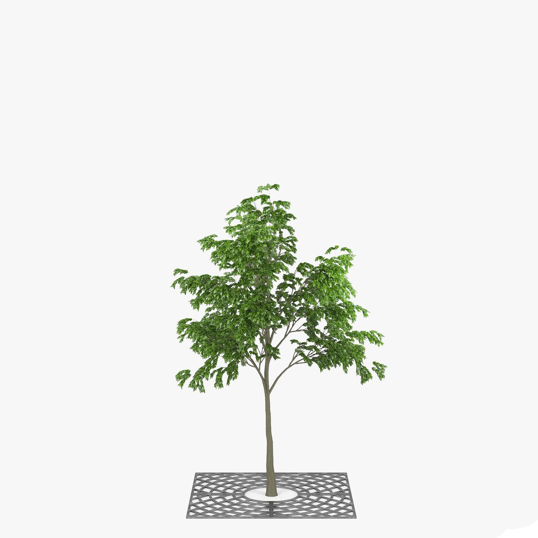 3D model tree street - TurboSquid 1372300