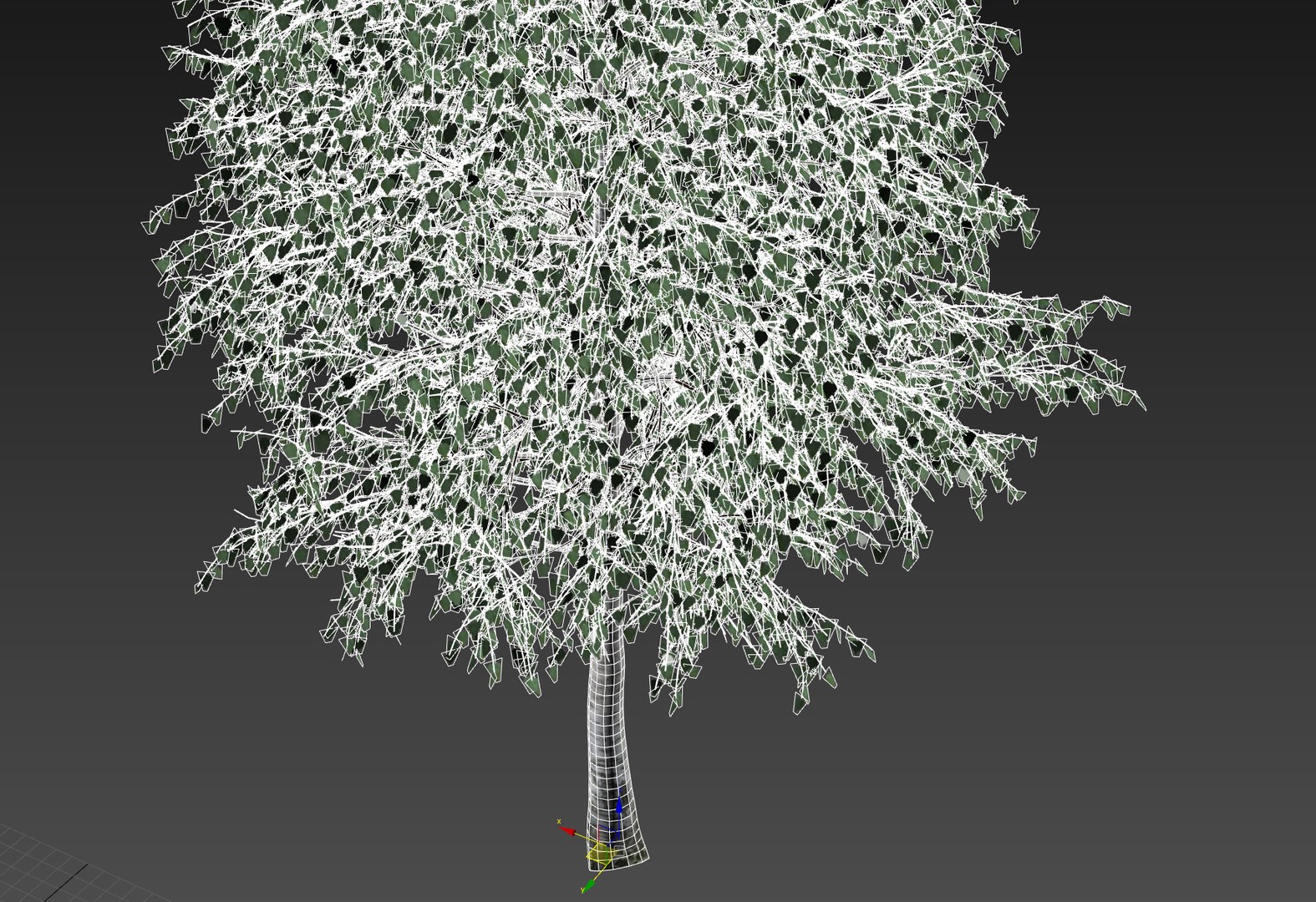 3D Model Birch Tree - TurboSquid 1635843