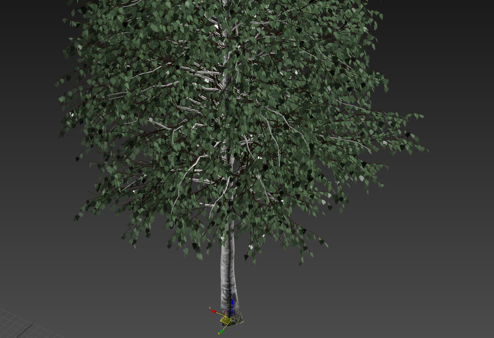 3D Model Birch Tree - TurboSquid 1635843