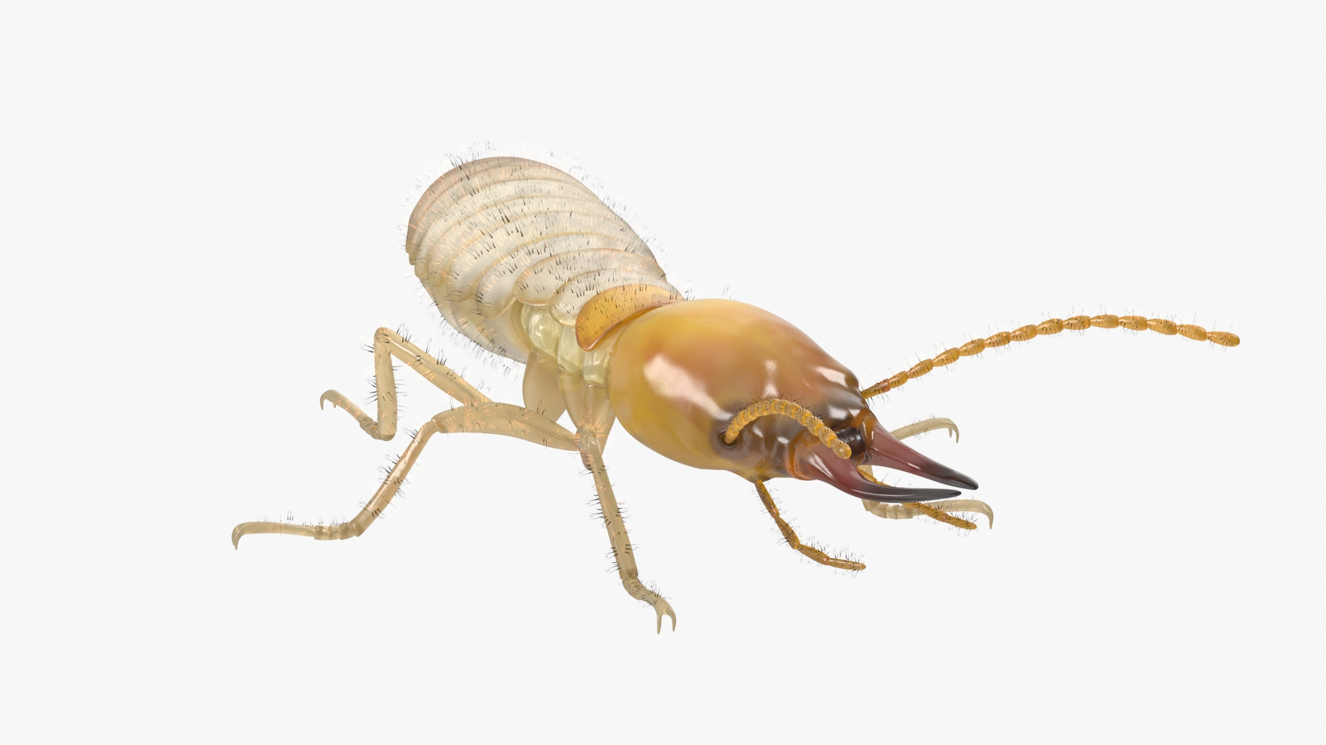 3D Termite In Creeping Pose For 3D Print - TurboSquid 2350657
