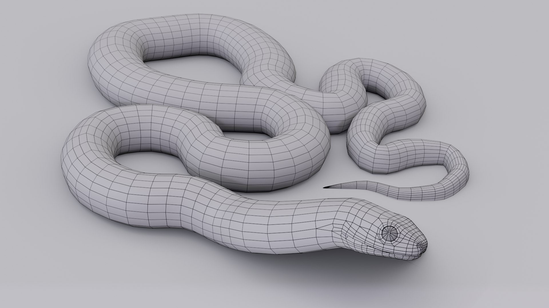 California kingsnake animation 3D model - TurboSquid 1483871