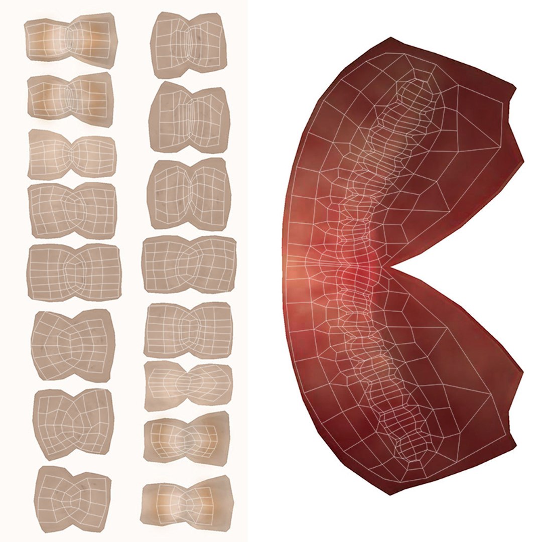 Female Full Body Rig model - TurboSquid 1781063