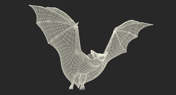 flying bat 3d model