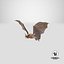Flying Bat 3d Model
