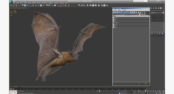 flying bat 3d model