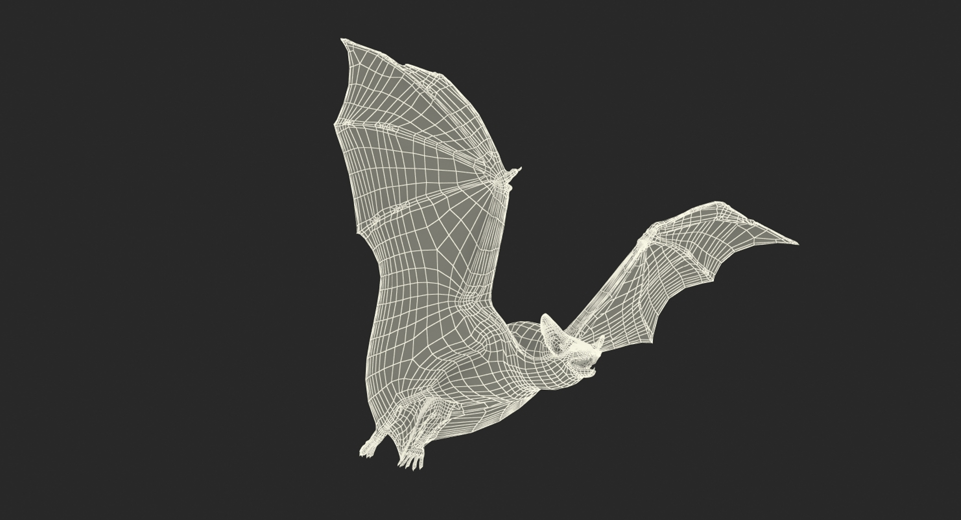 Flying Bat 3d Model
