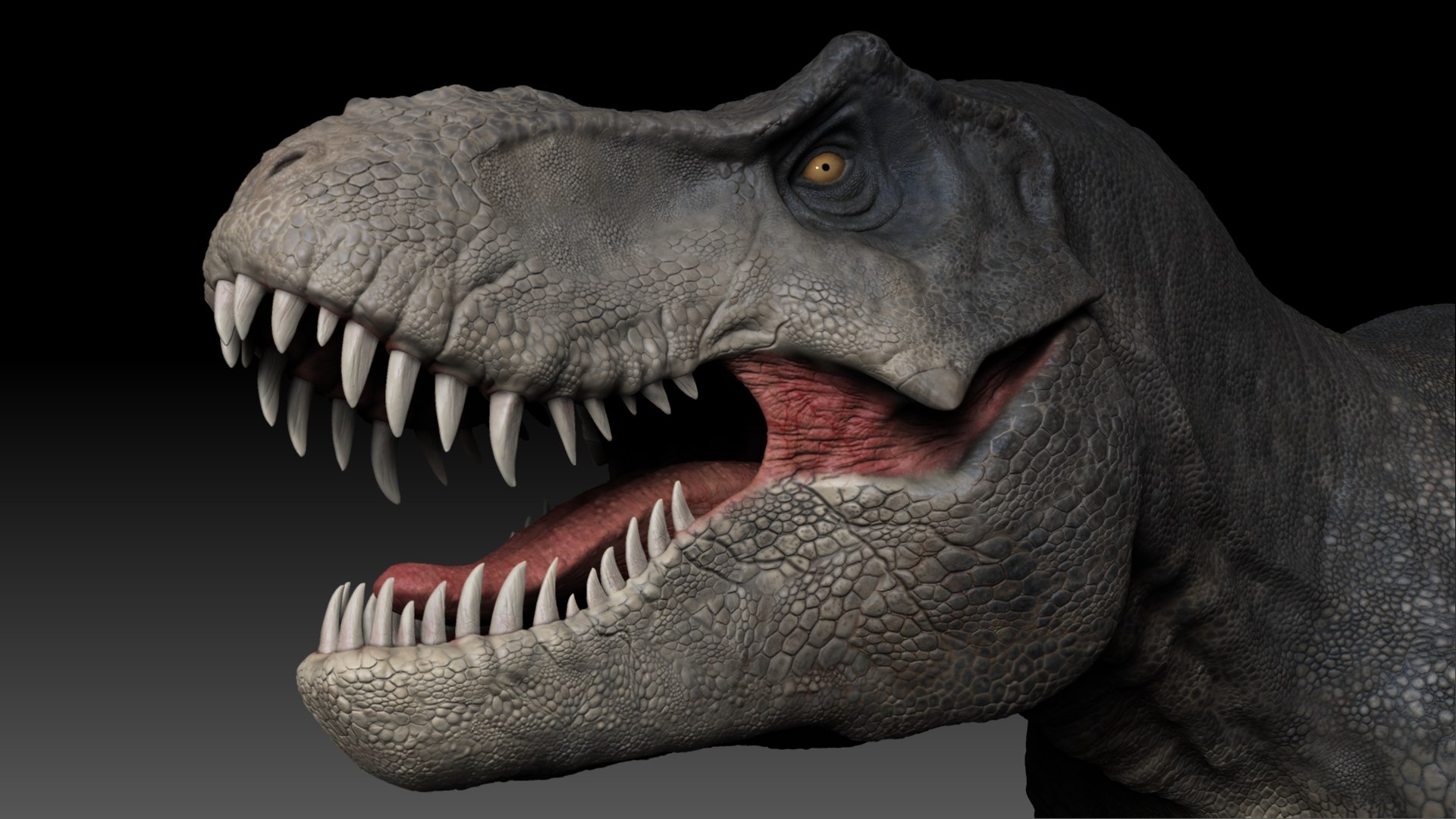 Tyrannosaurus Rex Stan Sculpt Project 3D Model - TurboSquid 2170872