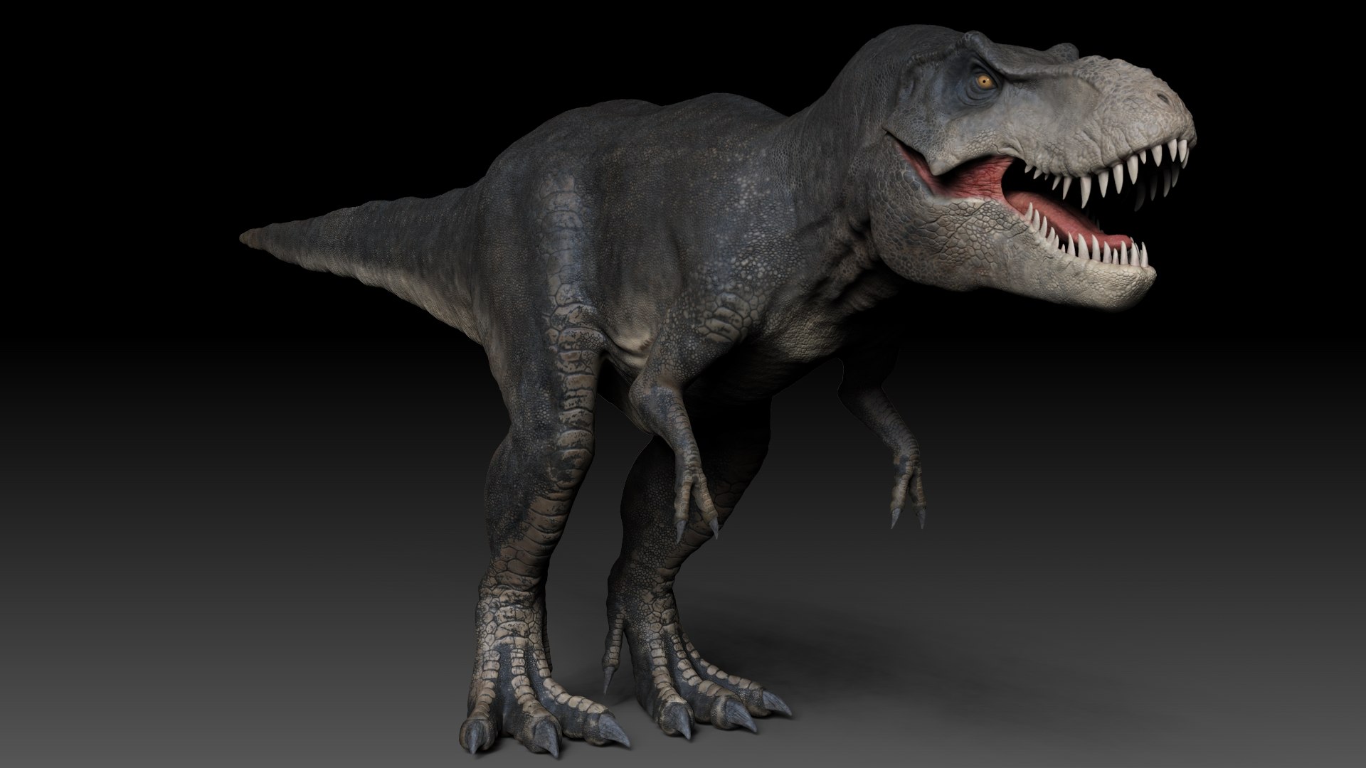 Tyrannosaurus Rex Stan Sculpt Project 3D Model - TurboSquid 2170872