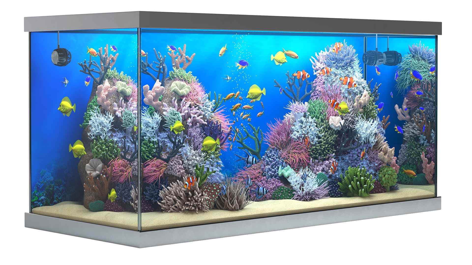 Aquarium Collection 3D Model - TurboSquid 2421487