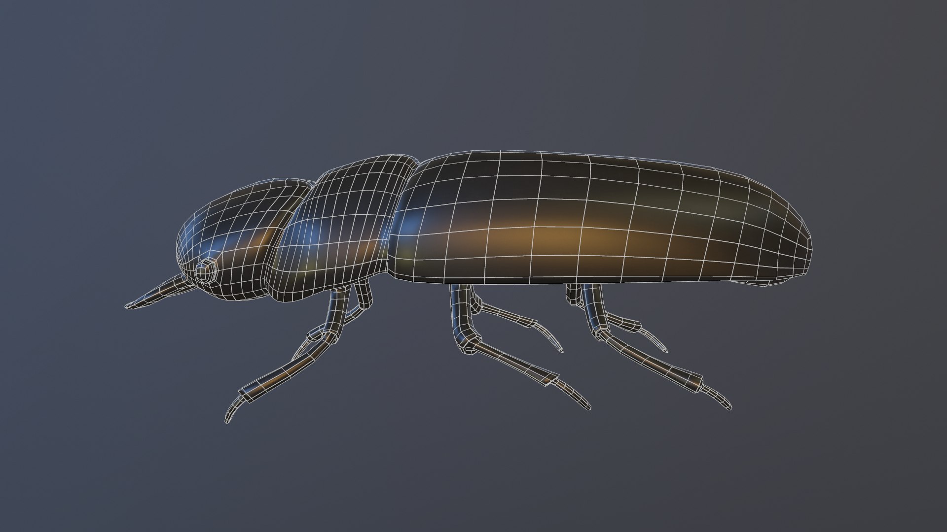 3D Bug Animals Model - TurboSquid 1635071