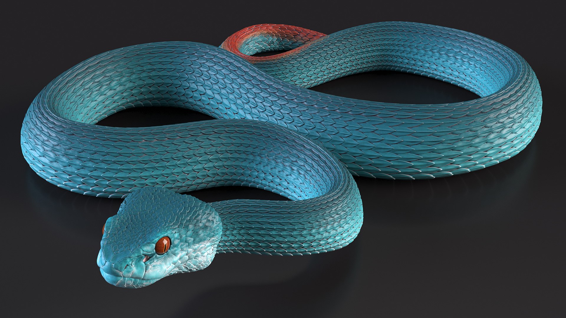 3D Model Creeping Blue Viper Trimeresurus - TurboSquid 2107184