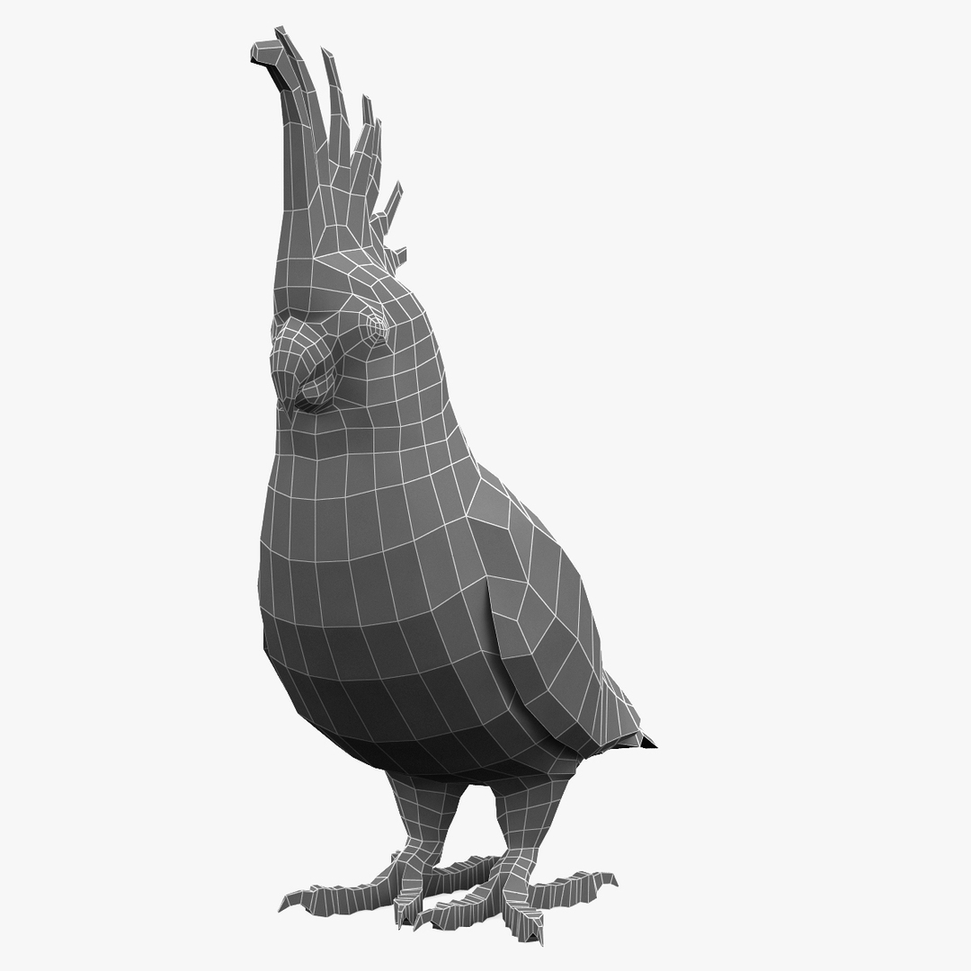 max sulphur-crested cockatoo bird