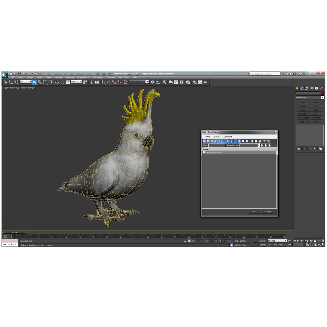 max sulphur-crested cockatoo bird
