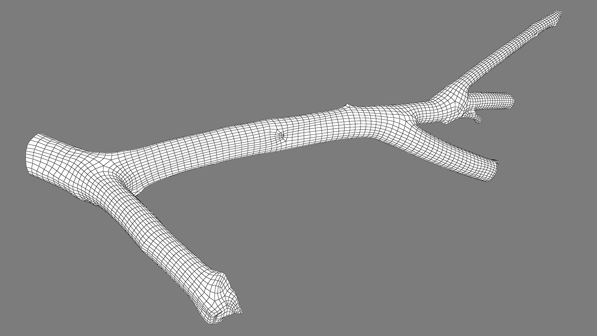Twig Scanned 35 3D Model - TurboSquid 2088219