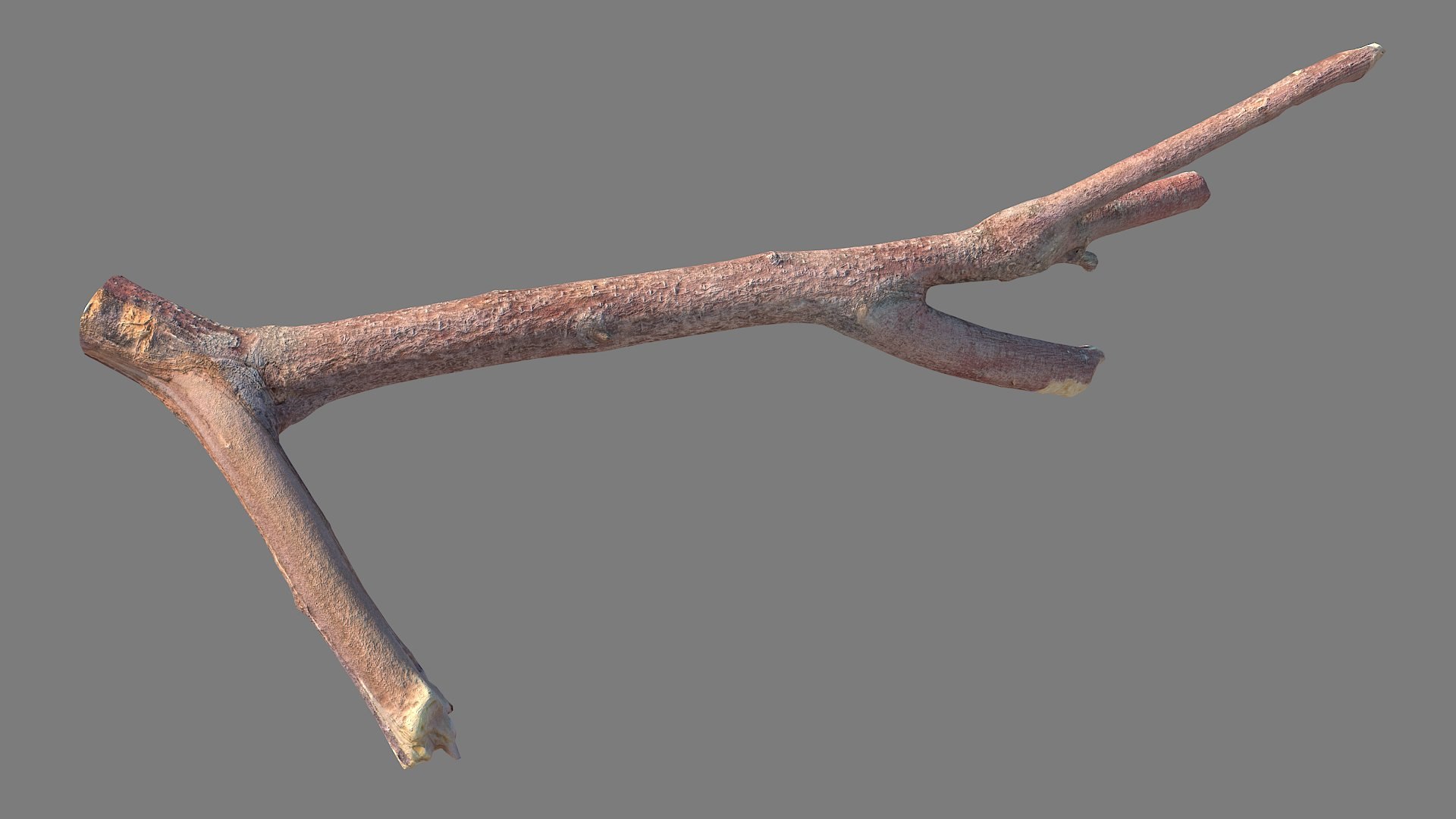 Twig Scanned 35 3D Model - TurboSquid 2088219