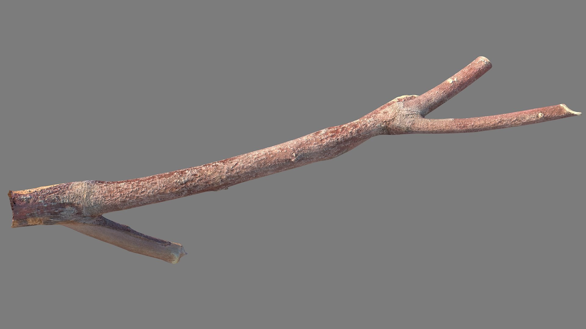 Twig Scanned 35 3D Model - TurboSquid 2088219