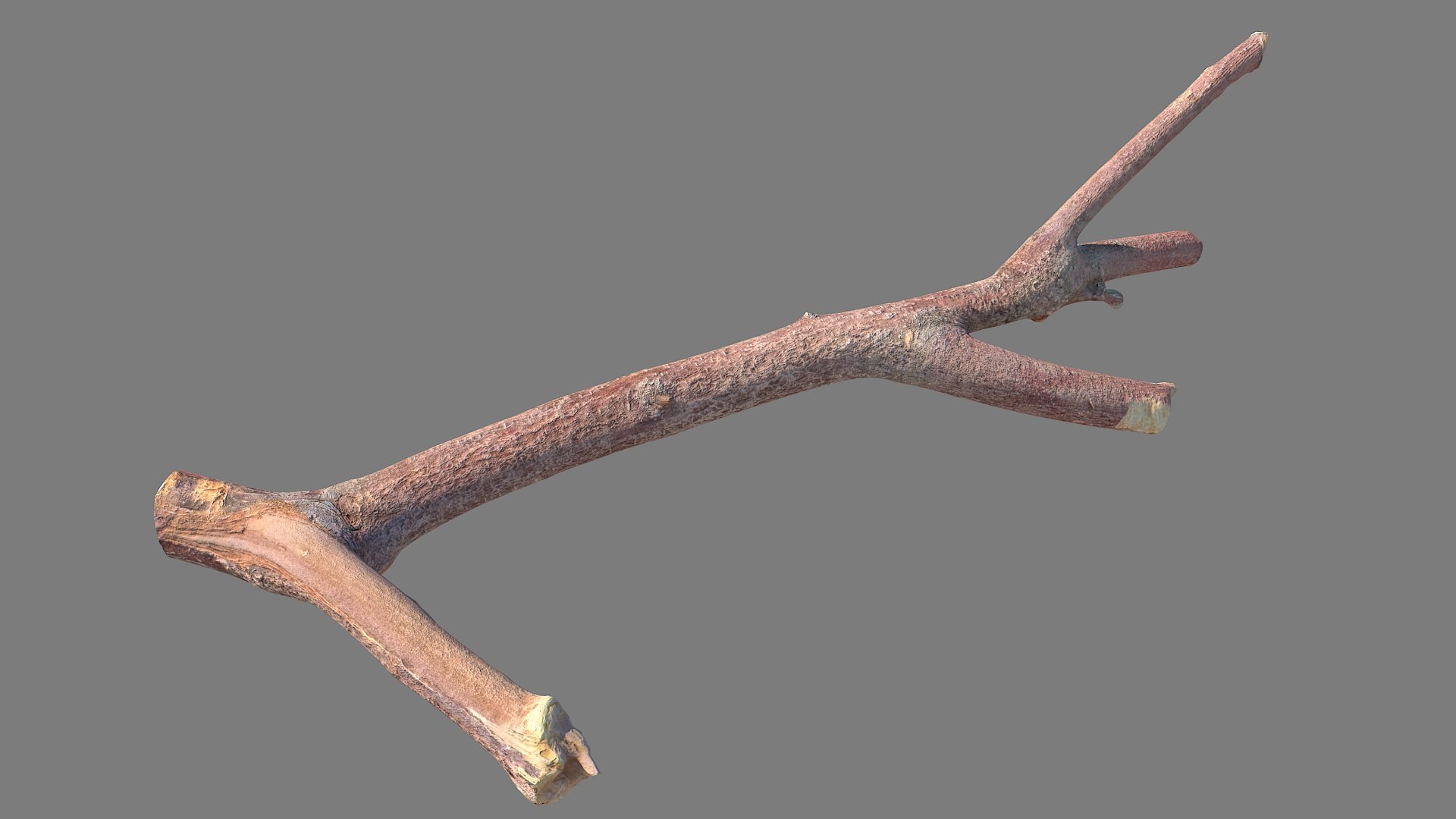 Twig Scanned 35 3D Model - TurboSquid 2088219