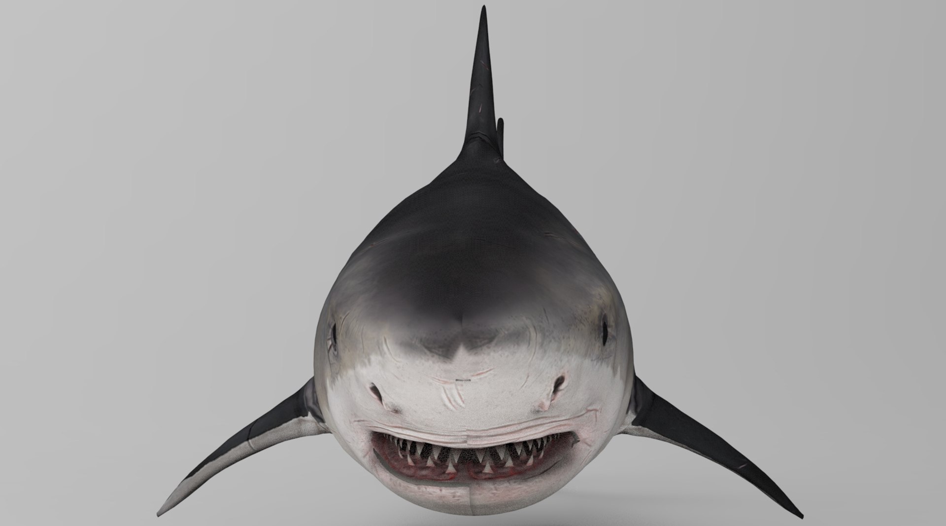 3D shark - TurboSquid 2110049