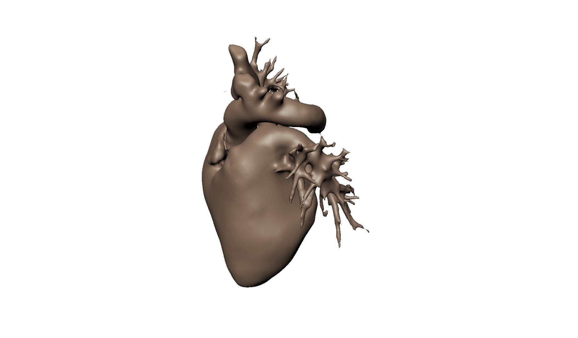 Segmentation Human Heart 3D Model - TurboSquid 1381671