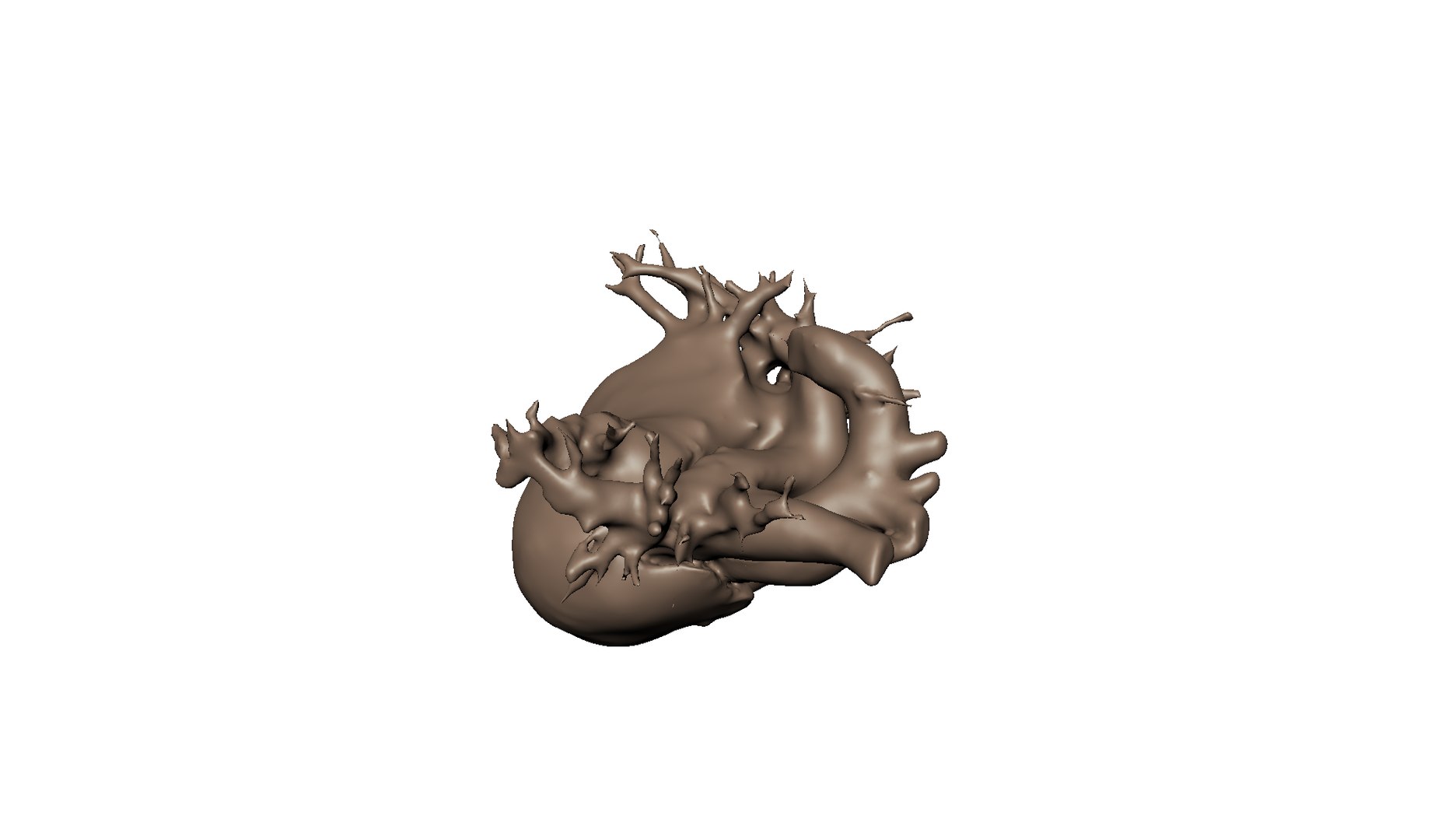 Segmentation Human Heart 3D Model - TurboSquid 1381671