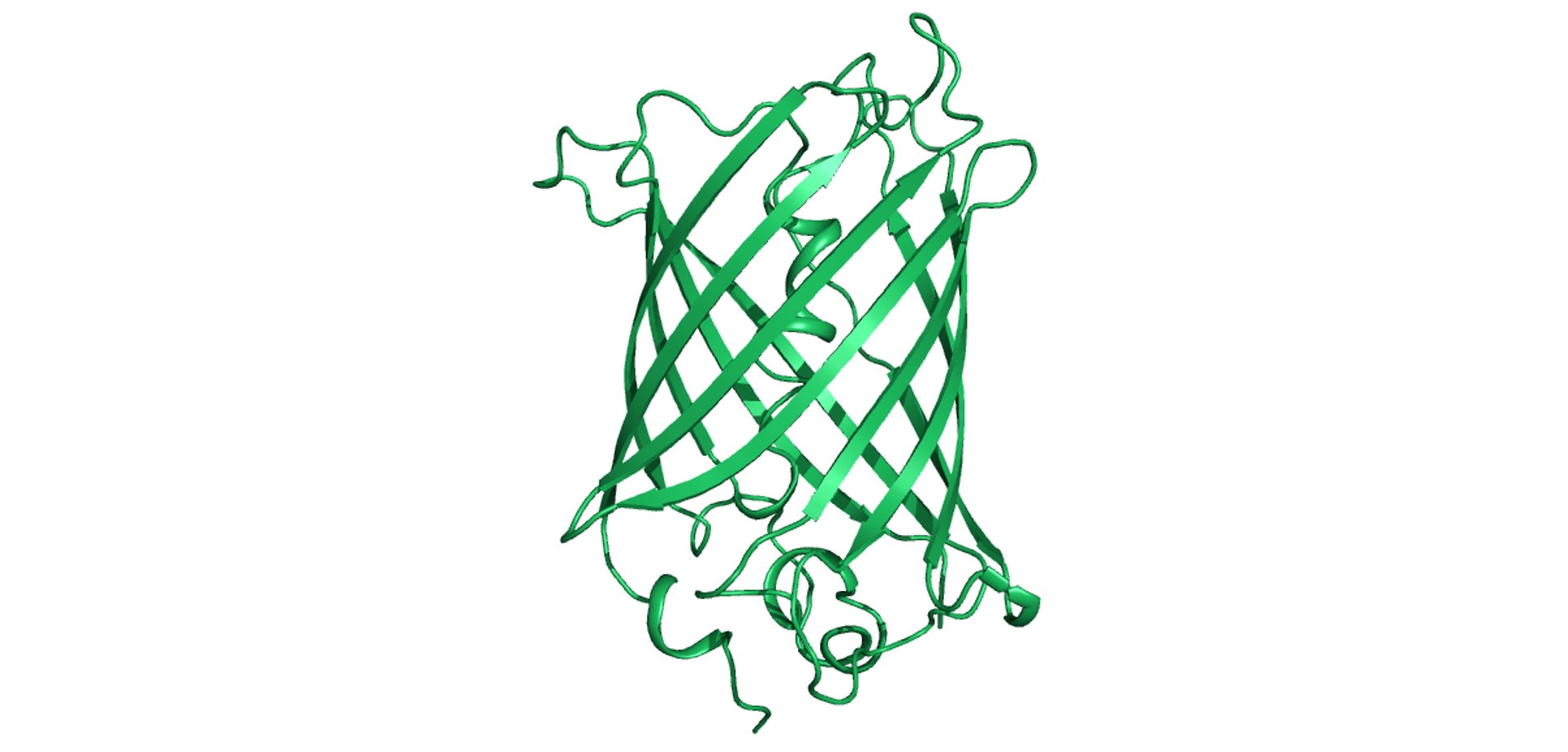 3d Green Fluorescent Protein