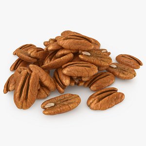 3D Pecan Models - Browse & Download Formats - TurboSquid