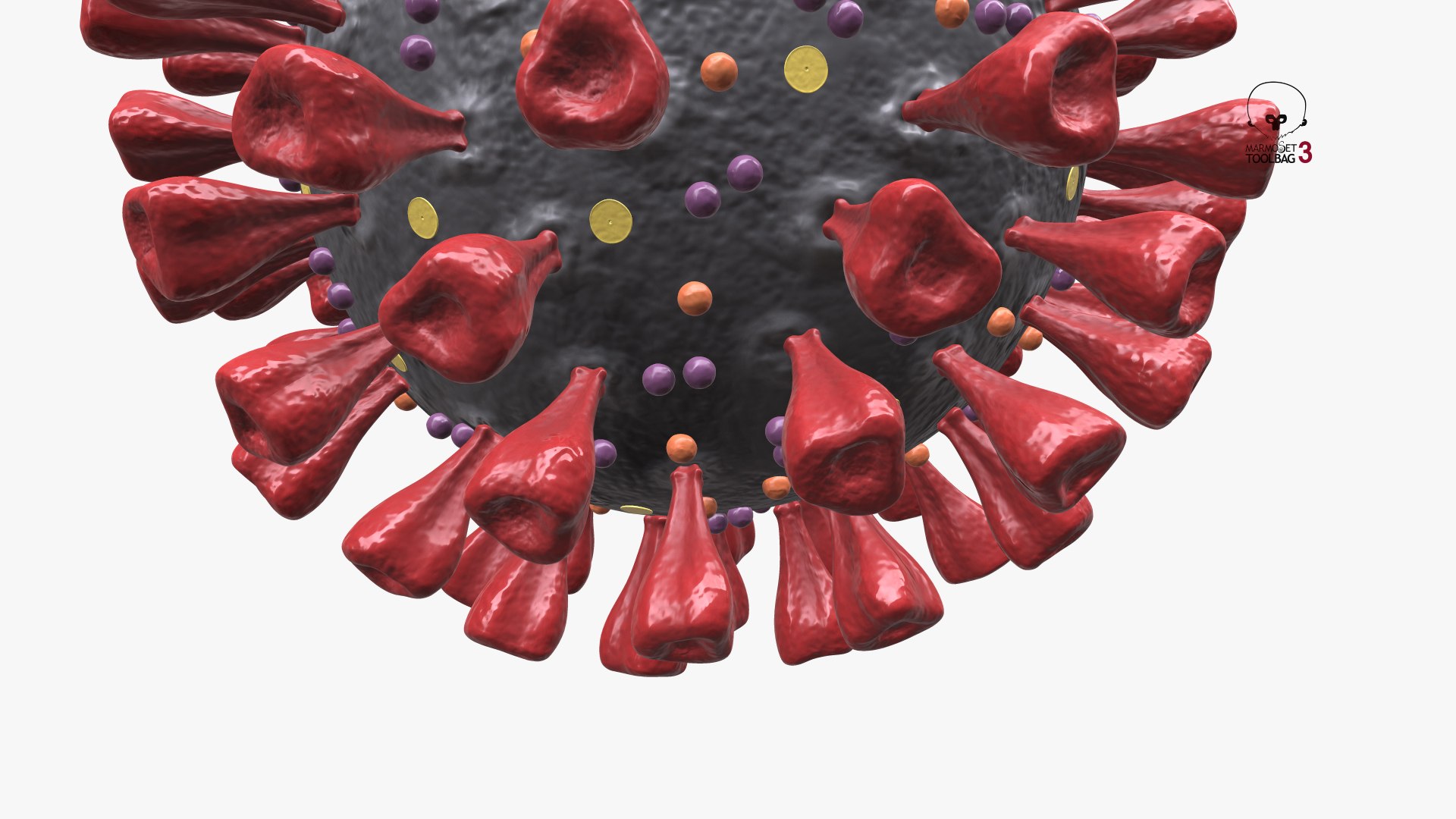 3D Novel Coronavirus Virus Science Model - TurboSquid 1532218