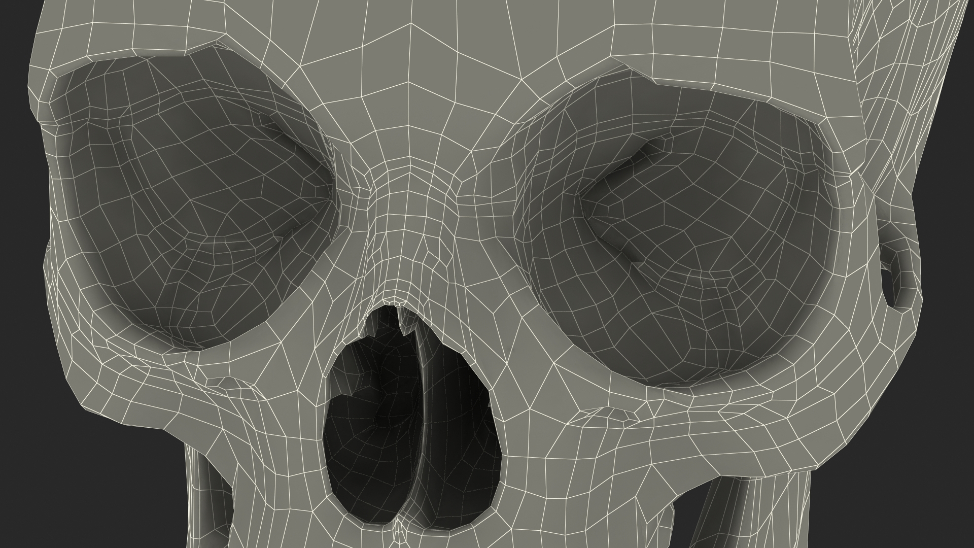 3d model of male human skull