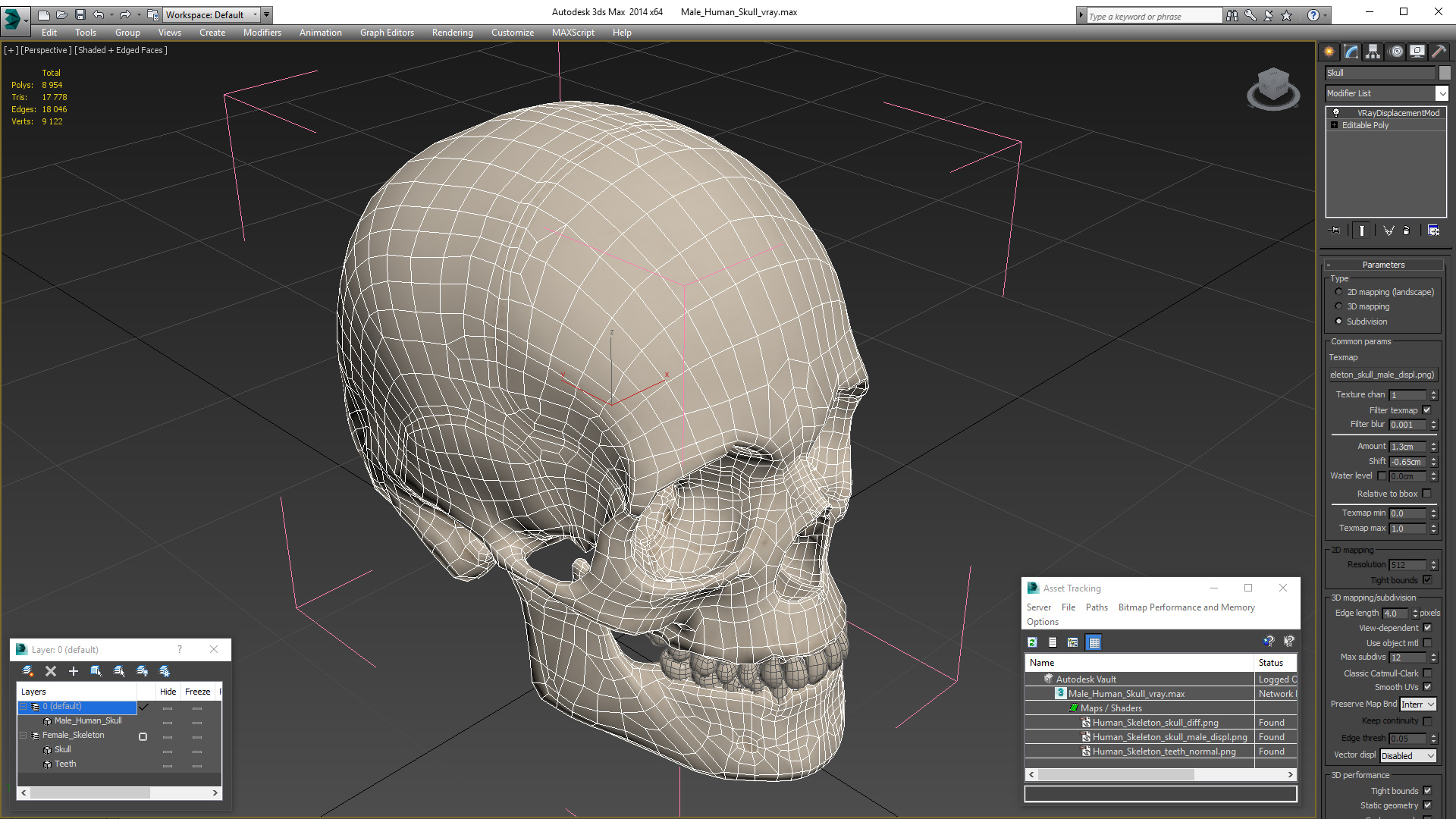3d model of male human skull